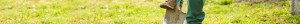 Enforcement Actions - Oregon Utility Notification Center